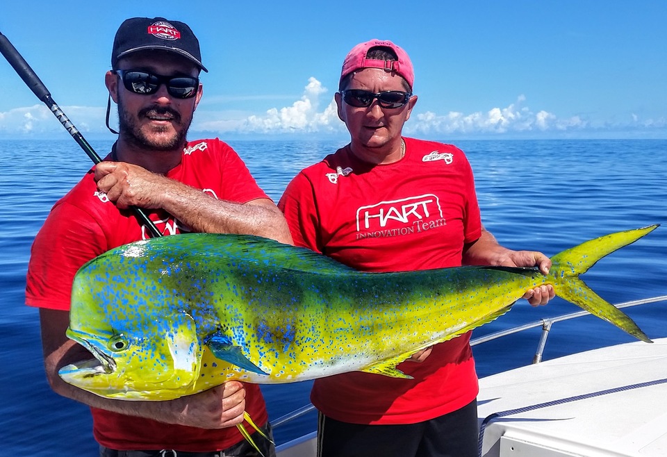 Les poissons de Guadeloupe - Julien Guide de Pêche