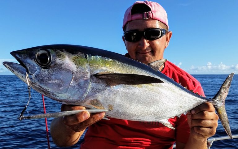 Les poissons de Guadeloupe - Julien Guide de Pêche